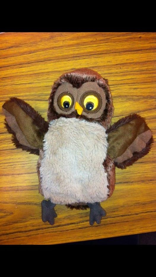 Life with Puppets, Part 1 – Mrs. Parker's Happy Classroom